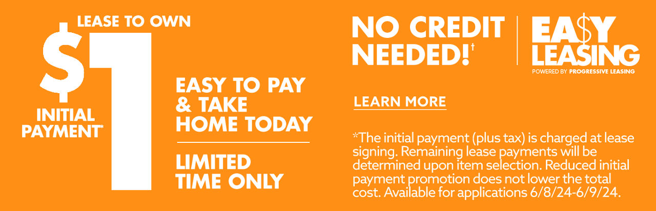 Easy Progressive Leasing | Big Lots