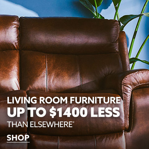 Big Lots! BIG Deals on Everything for Your Home!