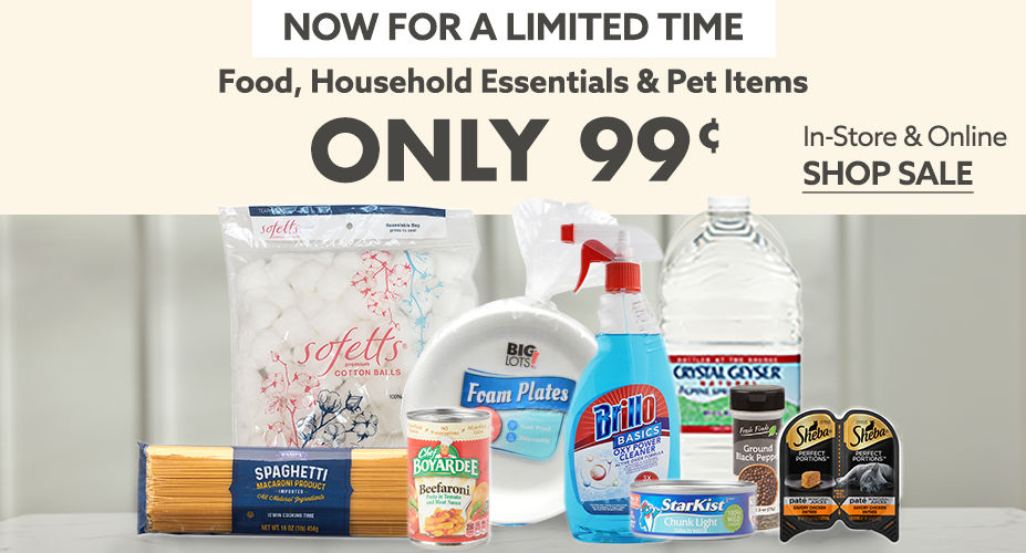 Big Lots! BIG Deals on Everything for Your Home!
