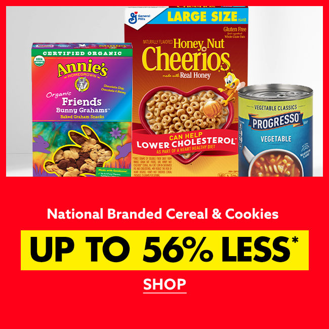 Big Lots! BIG Deals on Everything for Your Home!