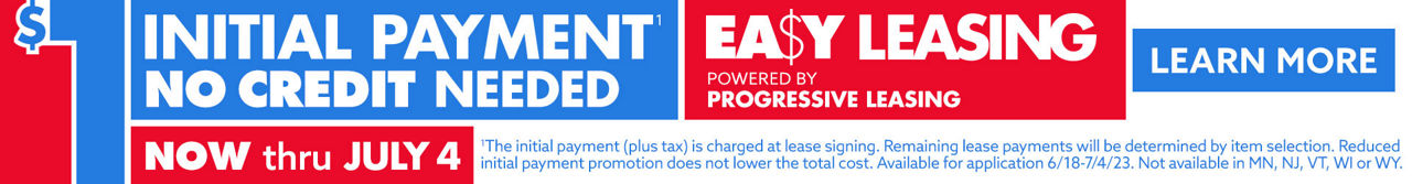 Easy Progressive Leasing | Big Lots