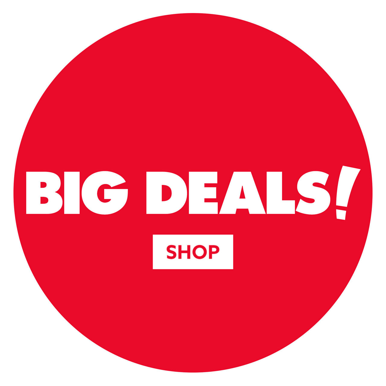 Big Lots! BIG Deals on Everything for Your Home!