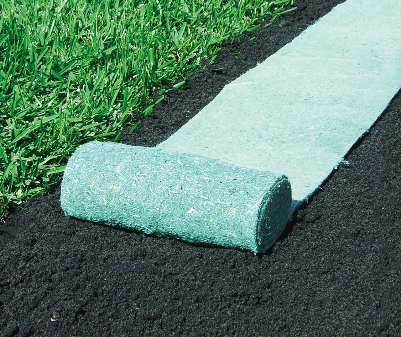 Butterfly & Hummingbird Garden Roll Out Flower Seed Mat | Big Lots