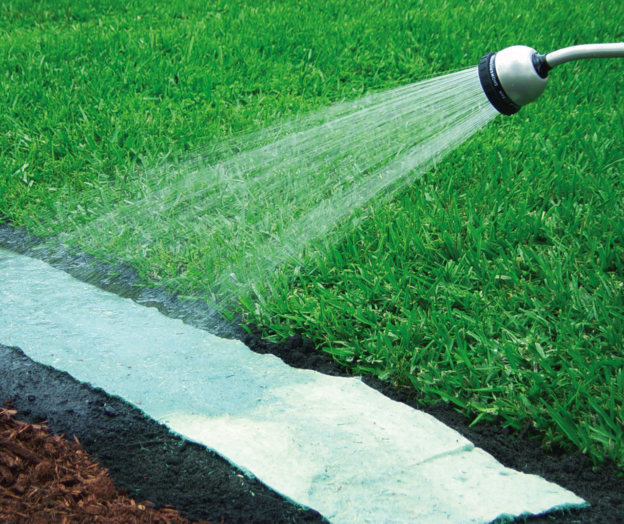 Butterfly & Hummingbird Garden Roll Out Flower Seed Mat | Big Lots