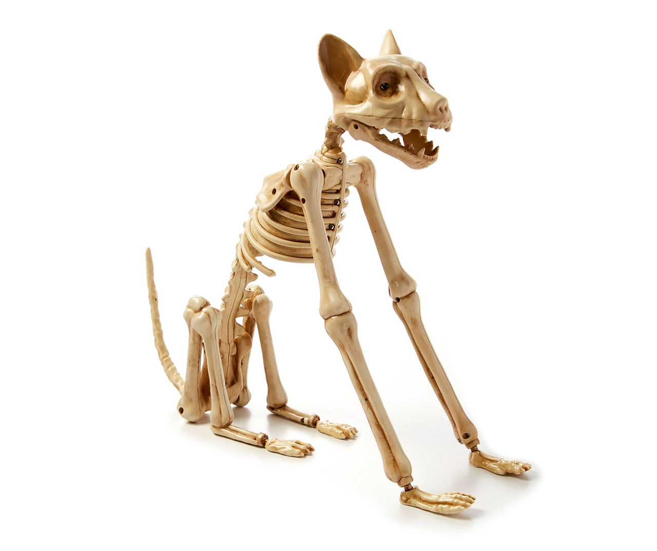 Boneyard Animated Cat Skeleton | Big Lots