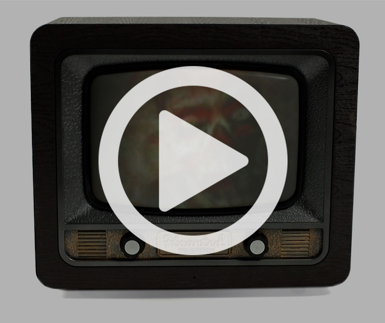 Sound-Activated Animated Spooky Skeleton TV | Big Lots