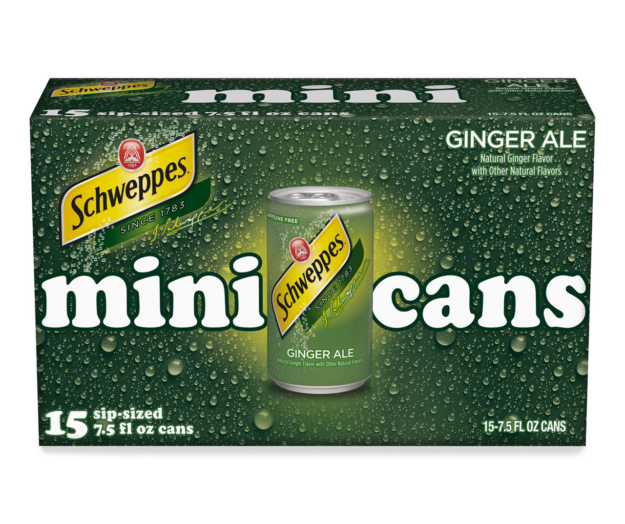 Schweppes Ginger Ale Can