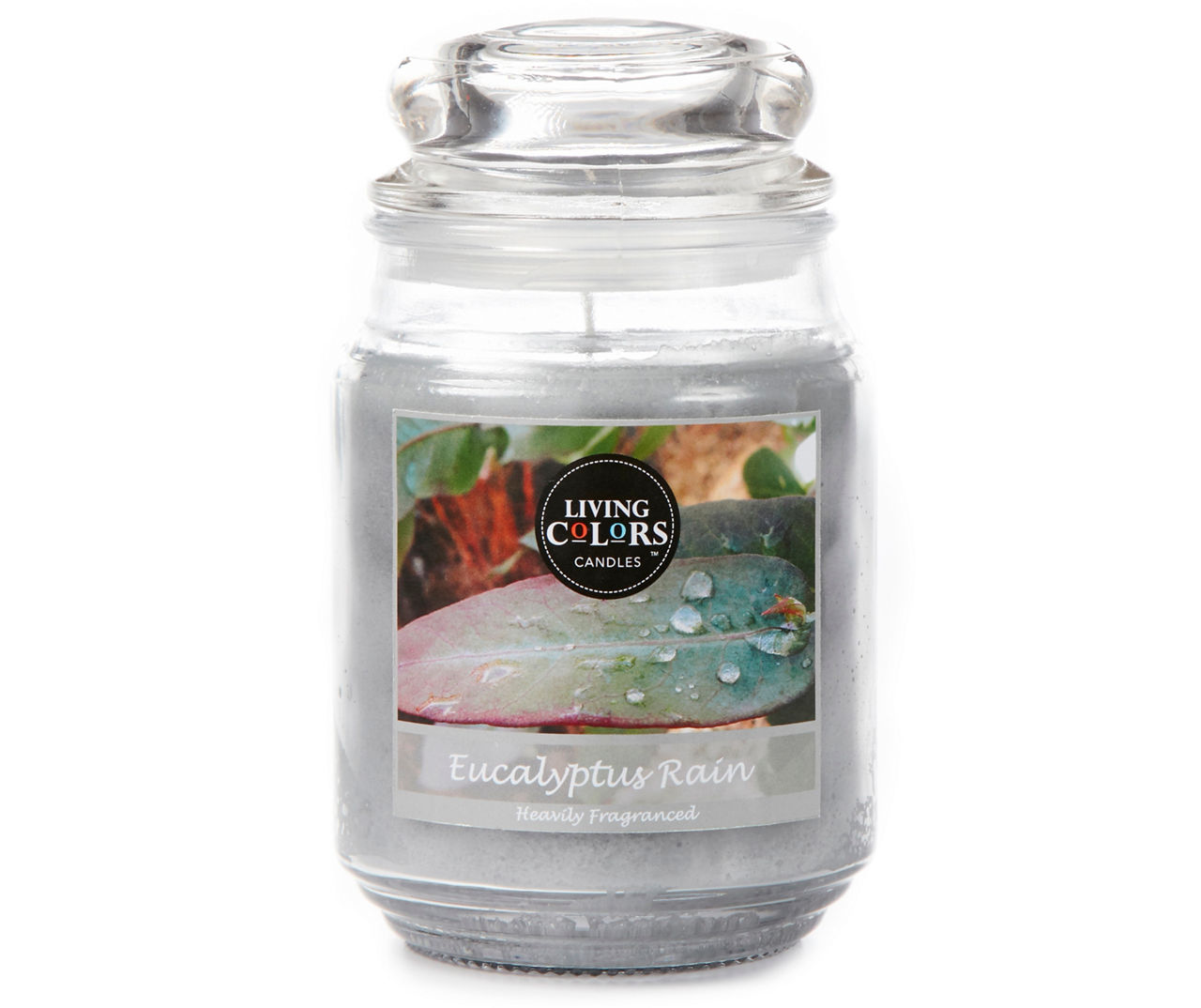 Living Colors Eucalyptus Rain Jar Candle, 19 Oz. | Big Lots