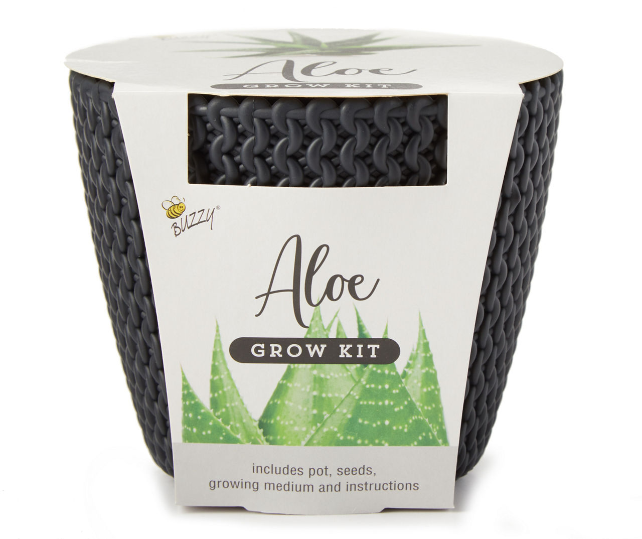 Buzzy Aloe Grow Kit with Planter | Big Lots