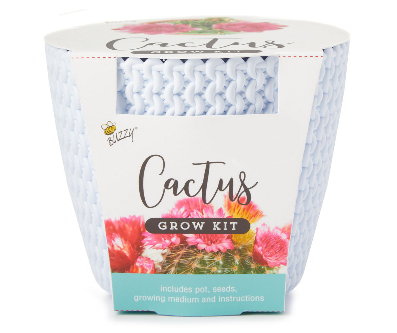 Buzzy Cactus Grow Kit with Planter | Big Lots
