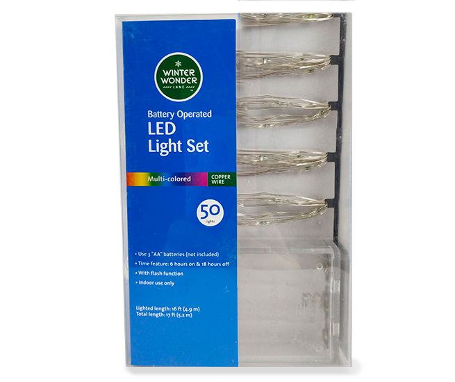 Winter Wonder Lane Multi-Color LED Micro Light Set, 50-Lights | Big Lots