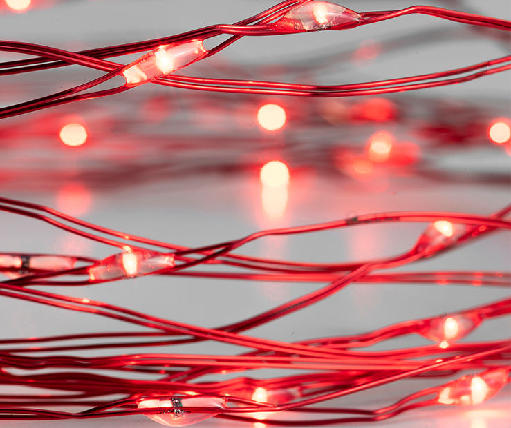 Winter Wonder Lane Red LED Micro Light Set, 50-Lights | Big Lots