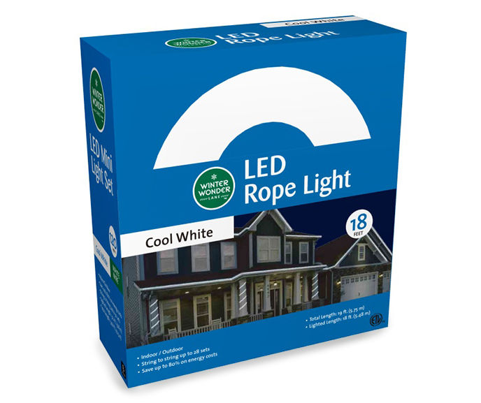 Winter Wonder Lane 18' Cool White LED Rope Light | Big Lots
