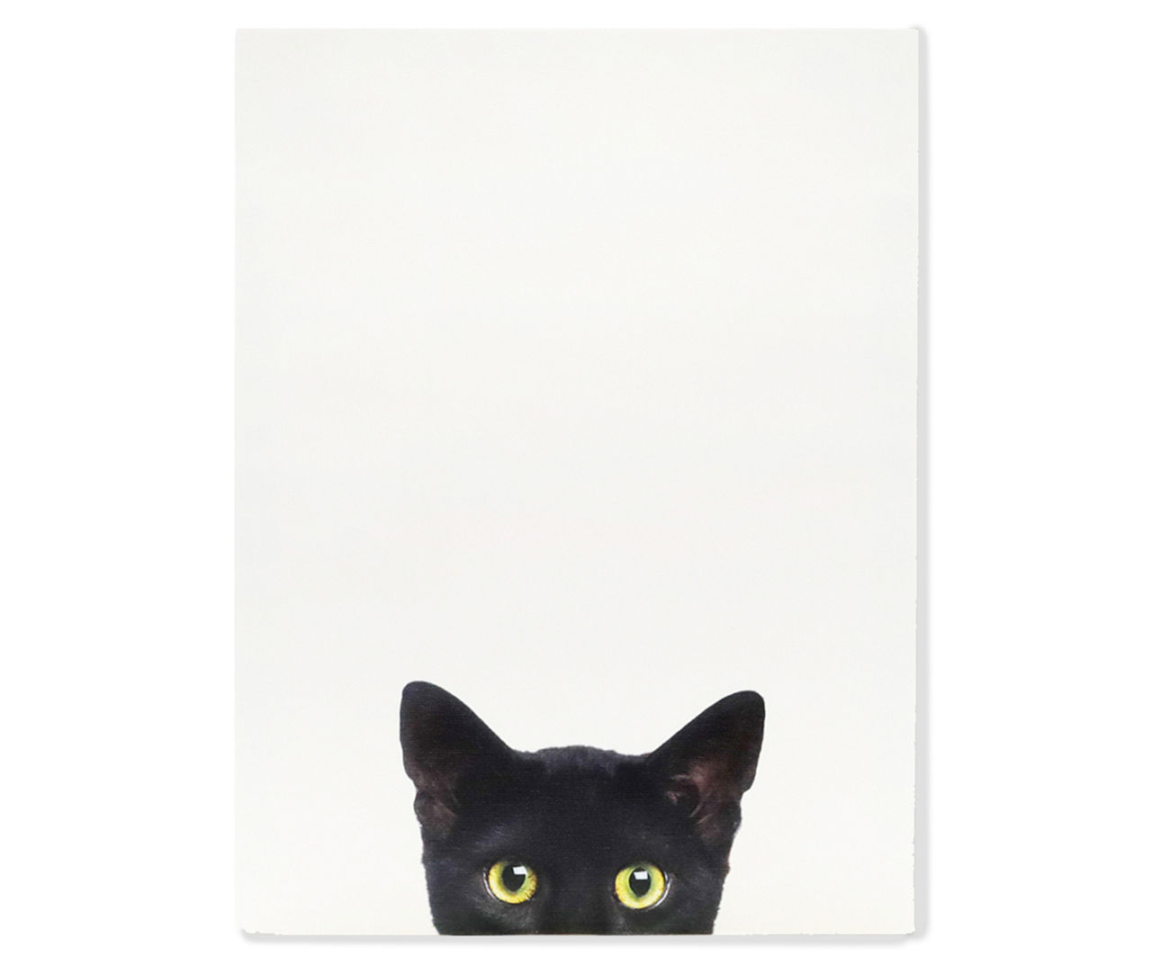 Black Cat Canvas | Big Lots