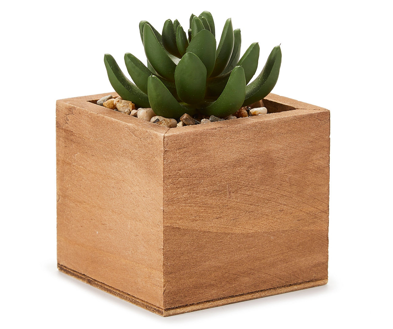 Broyhill Succulent in Square Wood Pot | Big Lots