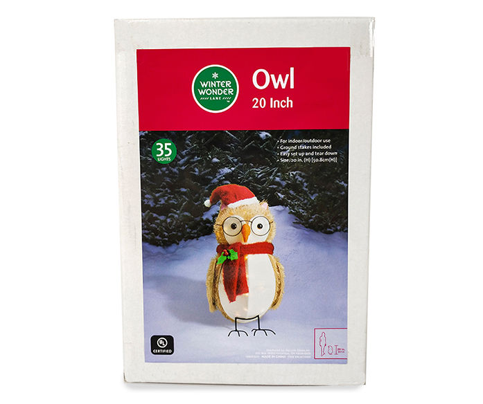 Winter Wonder Lane 20" Light-Up Owl | Big Lots