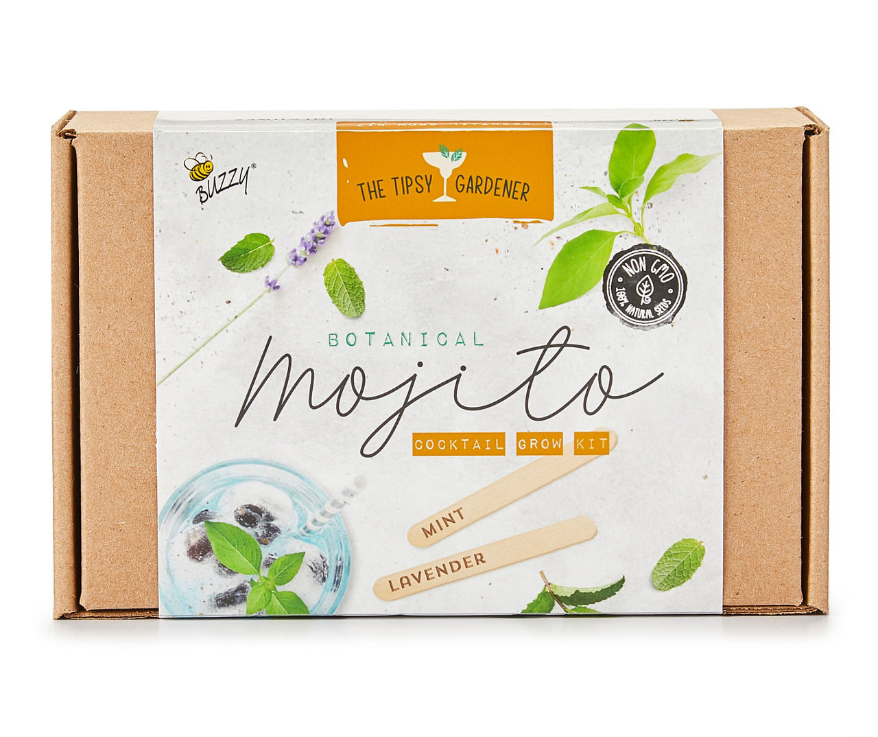 Buzzy Mojito Cocktail Grow Kit | Big Lots
