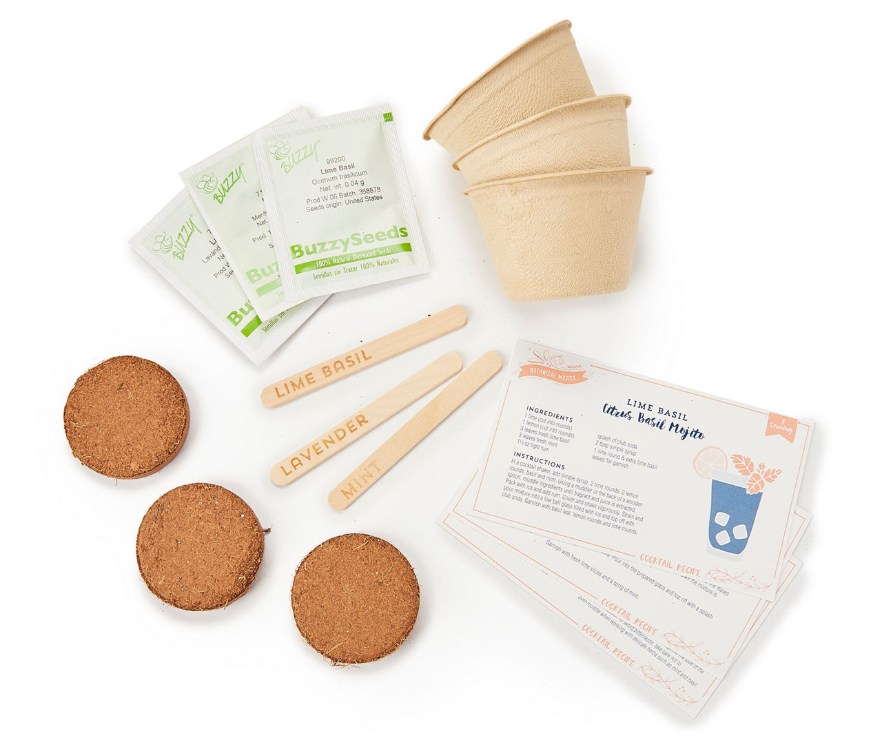 Buzzy Mojito Cocktail Grow Kit | Big Lots