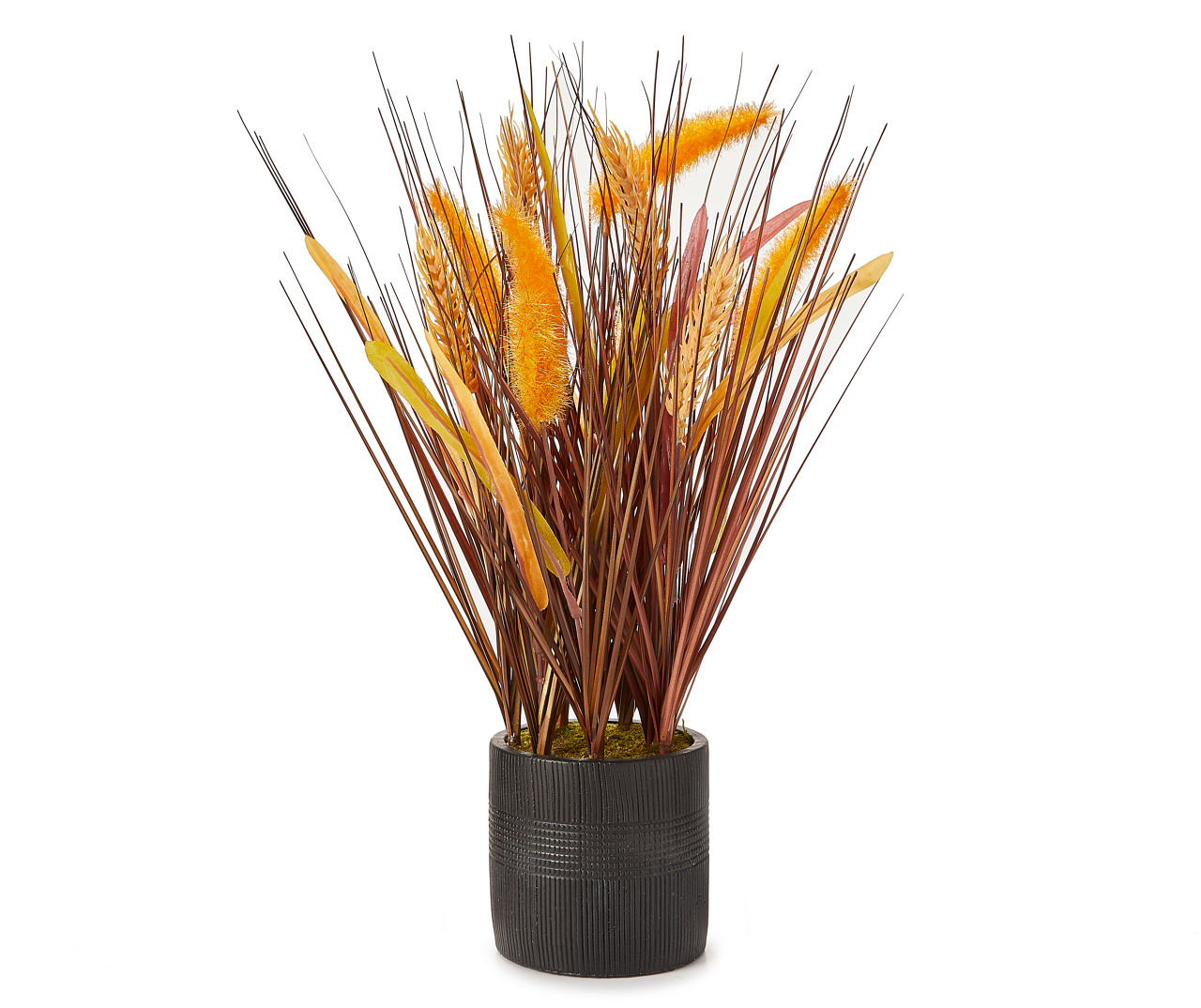 Cattails Arrangement in Black Pot | Big Lots