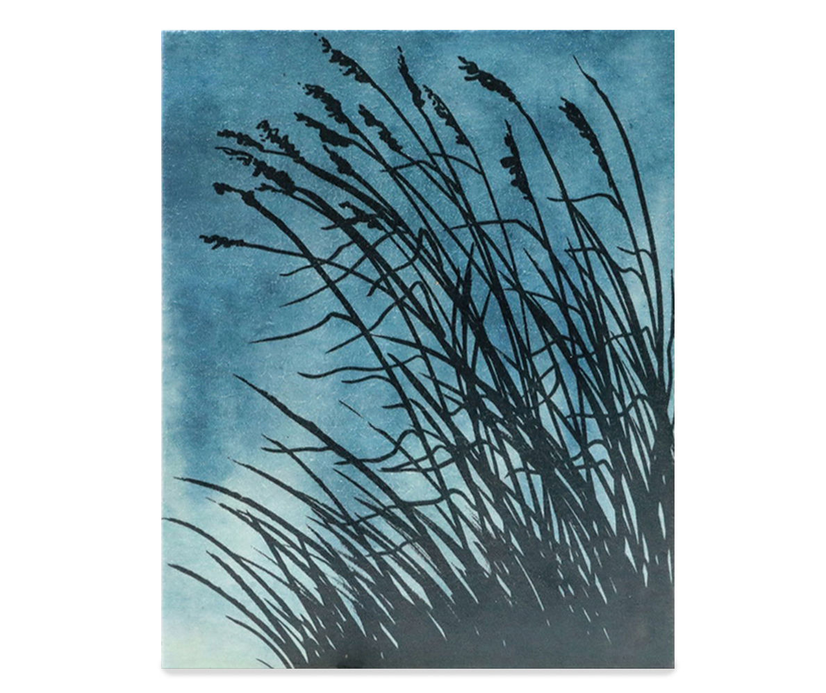 Botanical Breeze Canvas | Big Lots