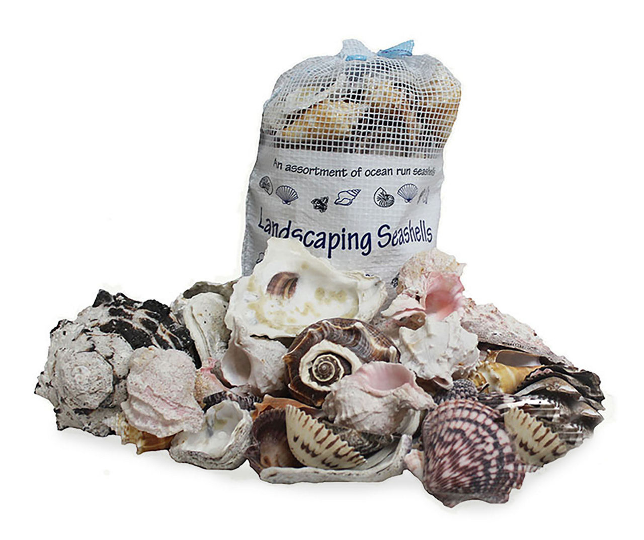 Landscaping Seashells, 5 Lbs. | Big Lots