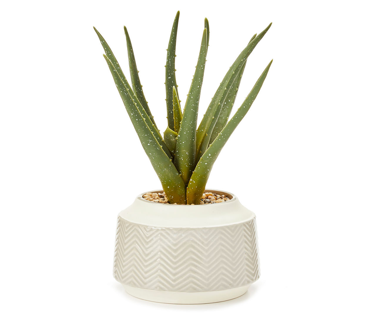 Aloe in Chevron Ceramic Pot | Big Lots