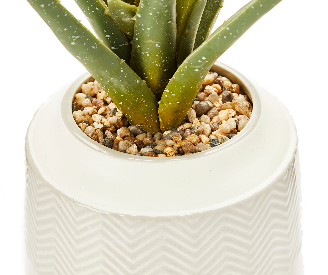 Aloe in Chevron Ceramic Pot | Big Lots