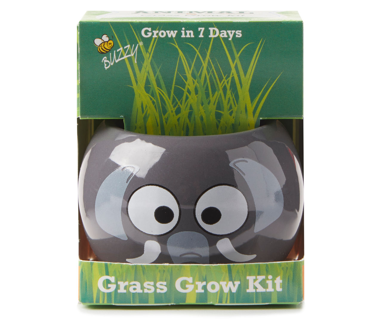 Buzzy Elephant Jungle Grass Grow Kit | Big Lots