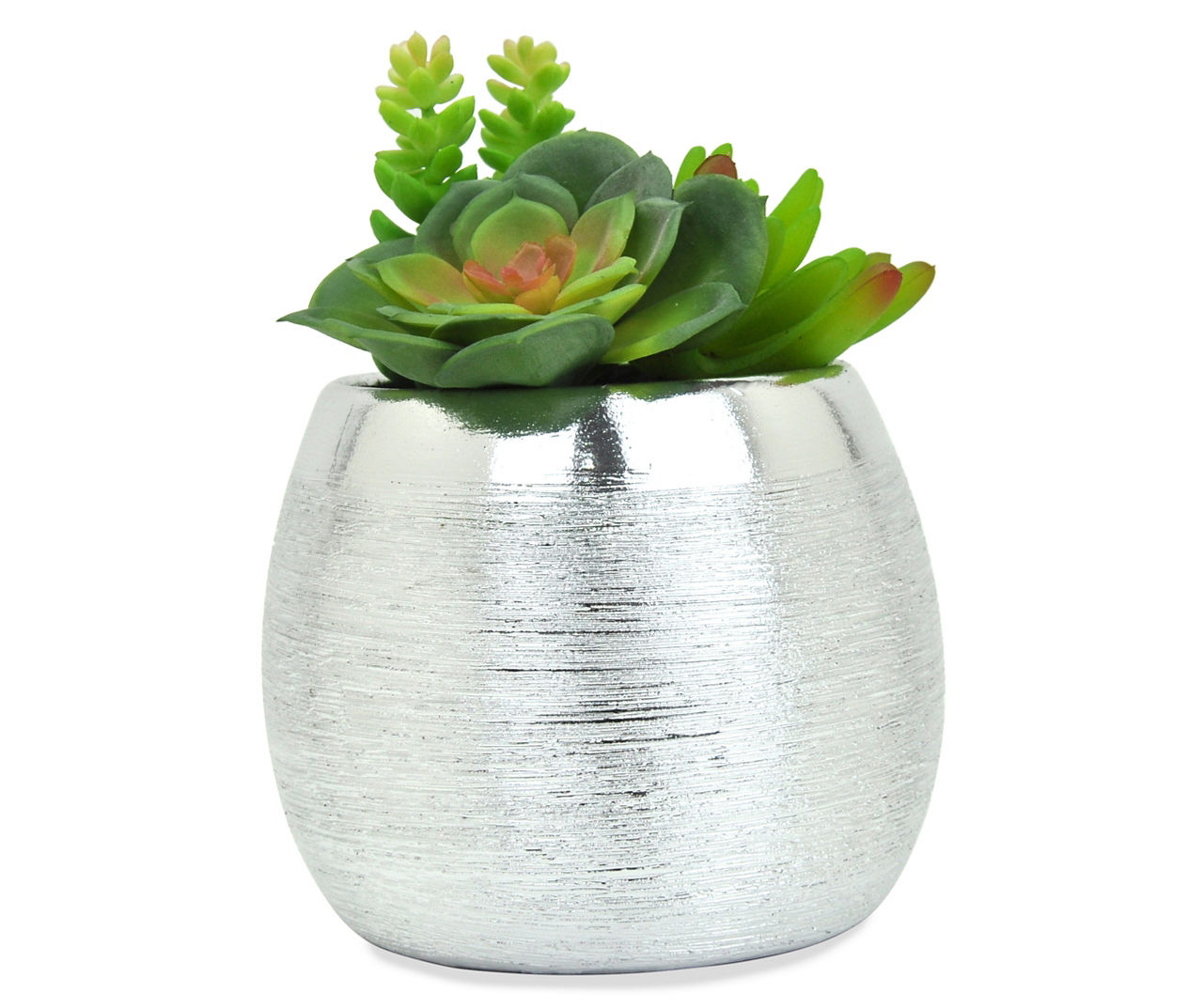 Succulents in Silver Metal Pot | Big Lots