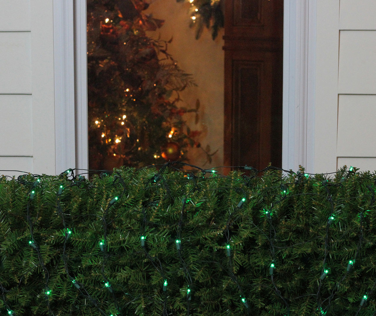 Green 4' x 6' Mini Net Light Set, 150-Lights | Big Lots