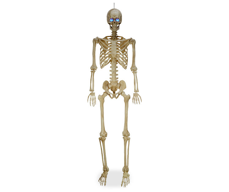 5' LED Poseable Skeleton | Big Lots