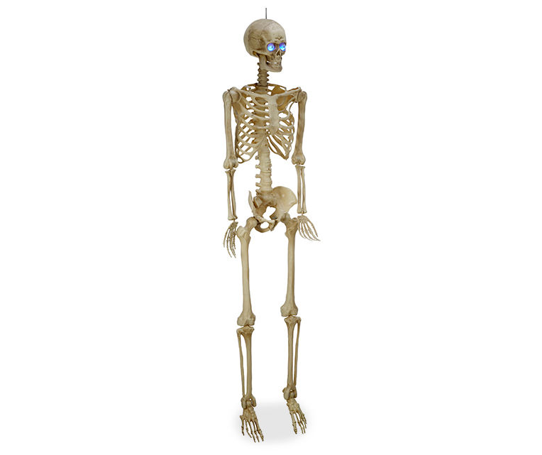 5' LED Poseable Skeleton | Big Lots