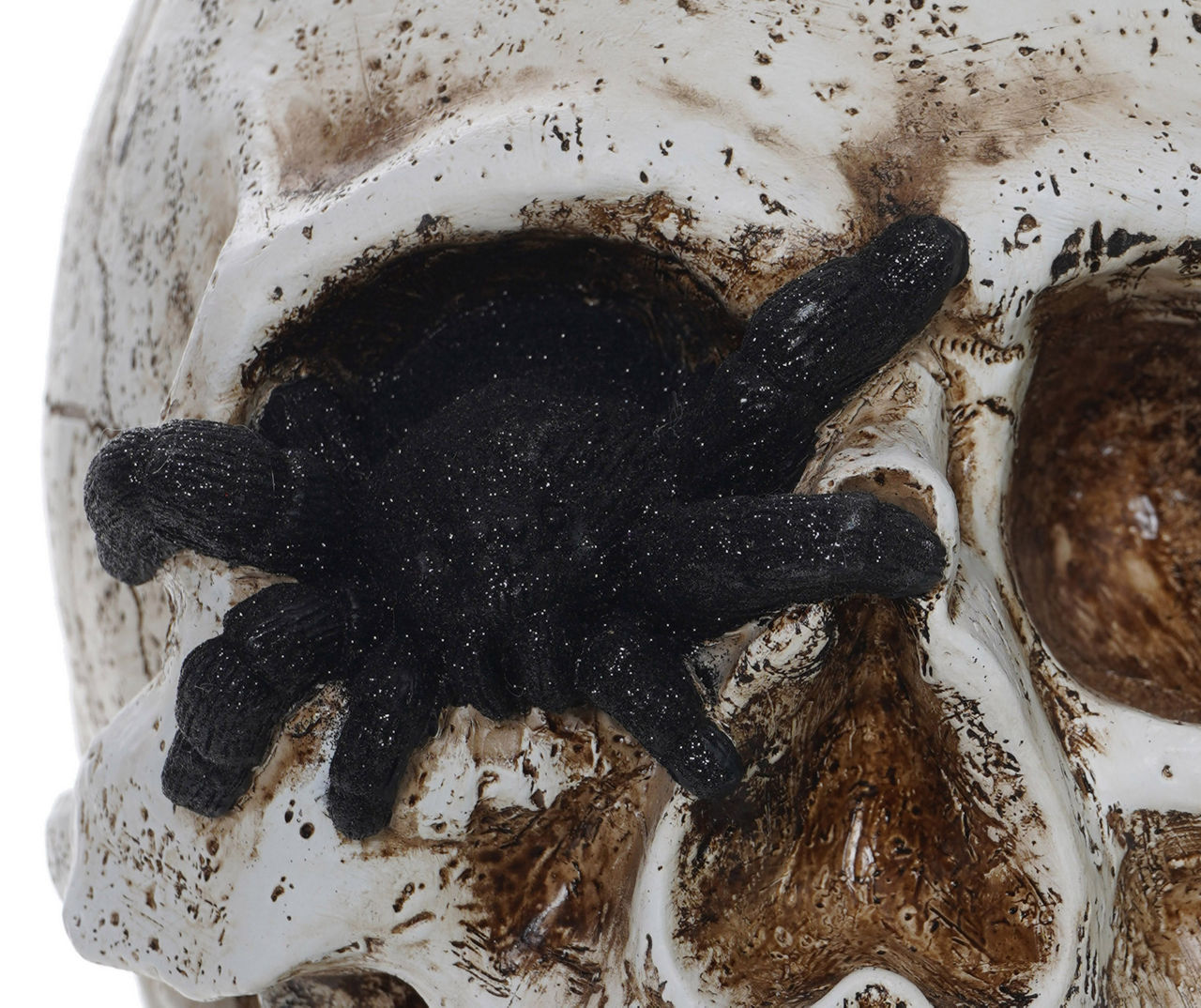 Spider Crawling Out Skull Tabletop Decor | Big Lots
