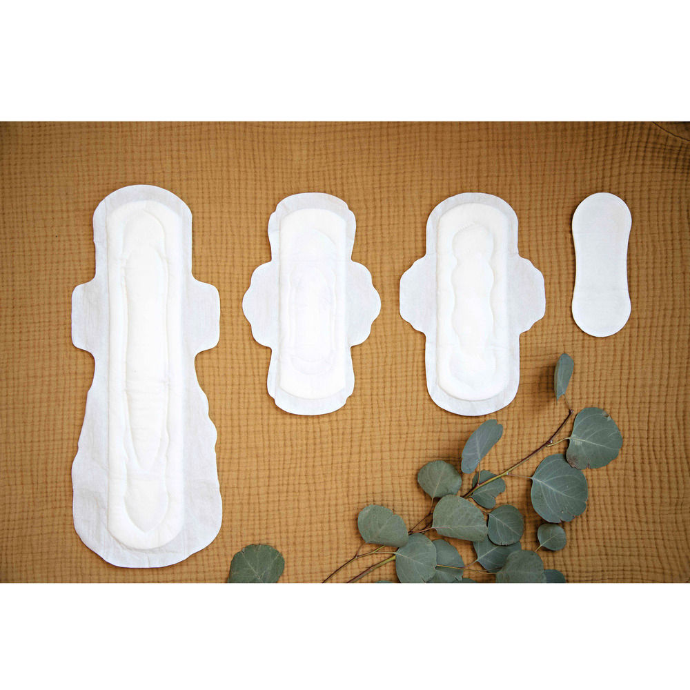 L. L. Ultra Thin Unscented Pads With Wings, Overnight Absorbency, 36 Ct ...