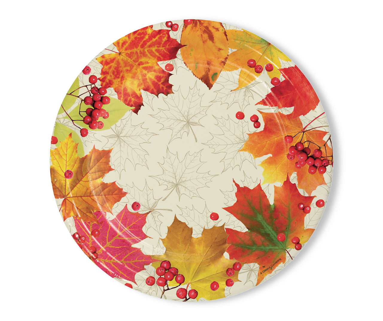 Autumn Leaves & Berries Paper Dinner Plates, 18-Count | Big Lots
