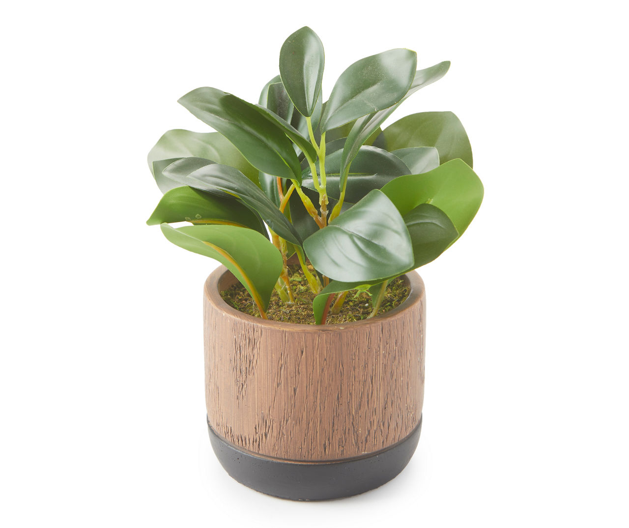 Green Artificial Mini Magnolia in Brown Wood-Look Ceramic Pot | Big Lots
