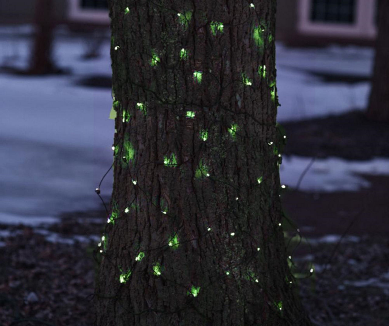 Northlight Green LED Tree Trunk Wrap Light Set, 150-Lights | Big Lots