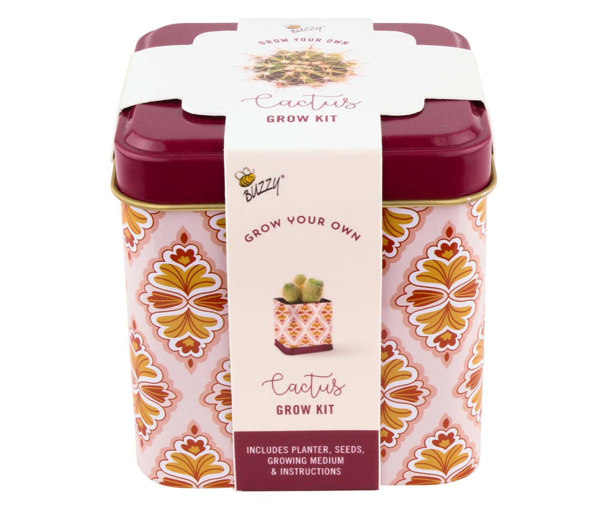 Buzzy Cactus Tin Grow Kit | Big Lots