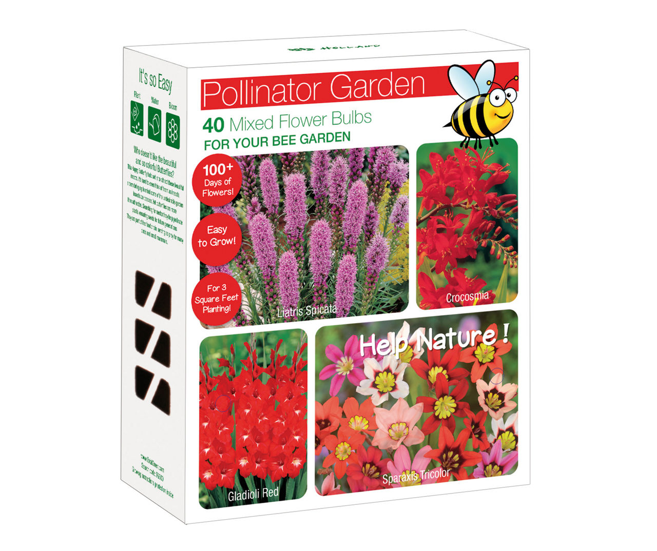 Red Bee Pollinator Garden Mixed Flower Bulbs, 40-Count | Big Lots