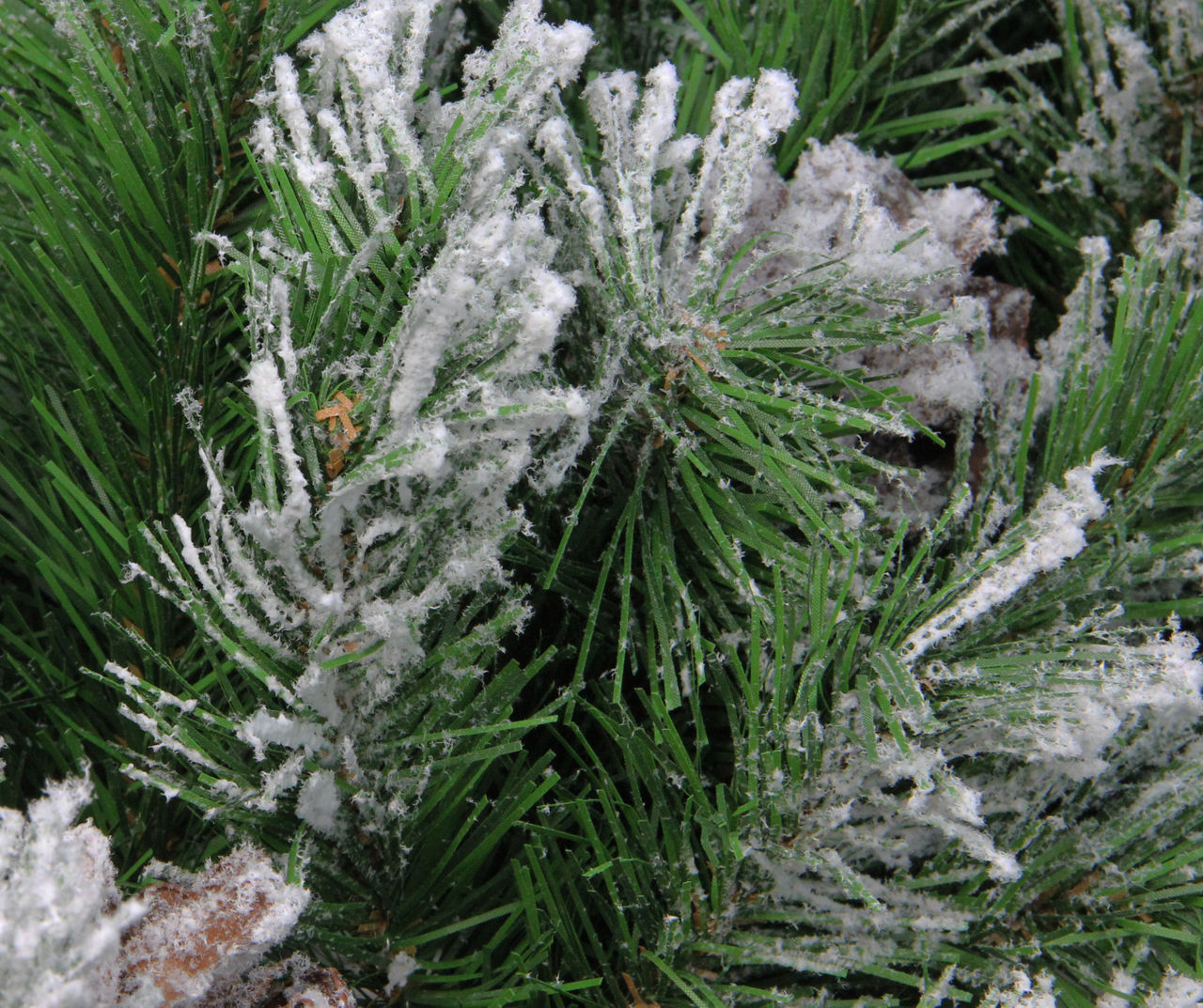 24" Flocked Angel Pine Wreath | Big Lots