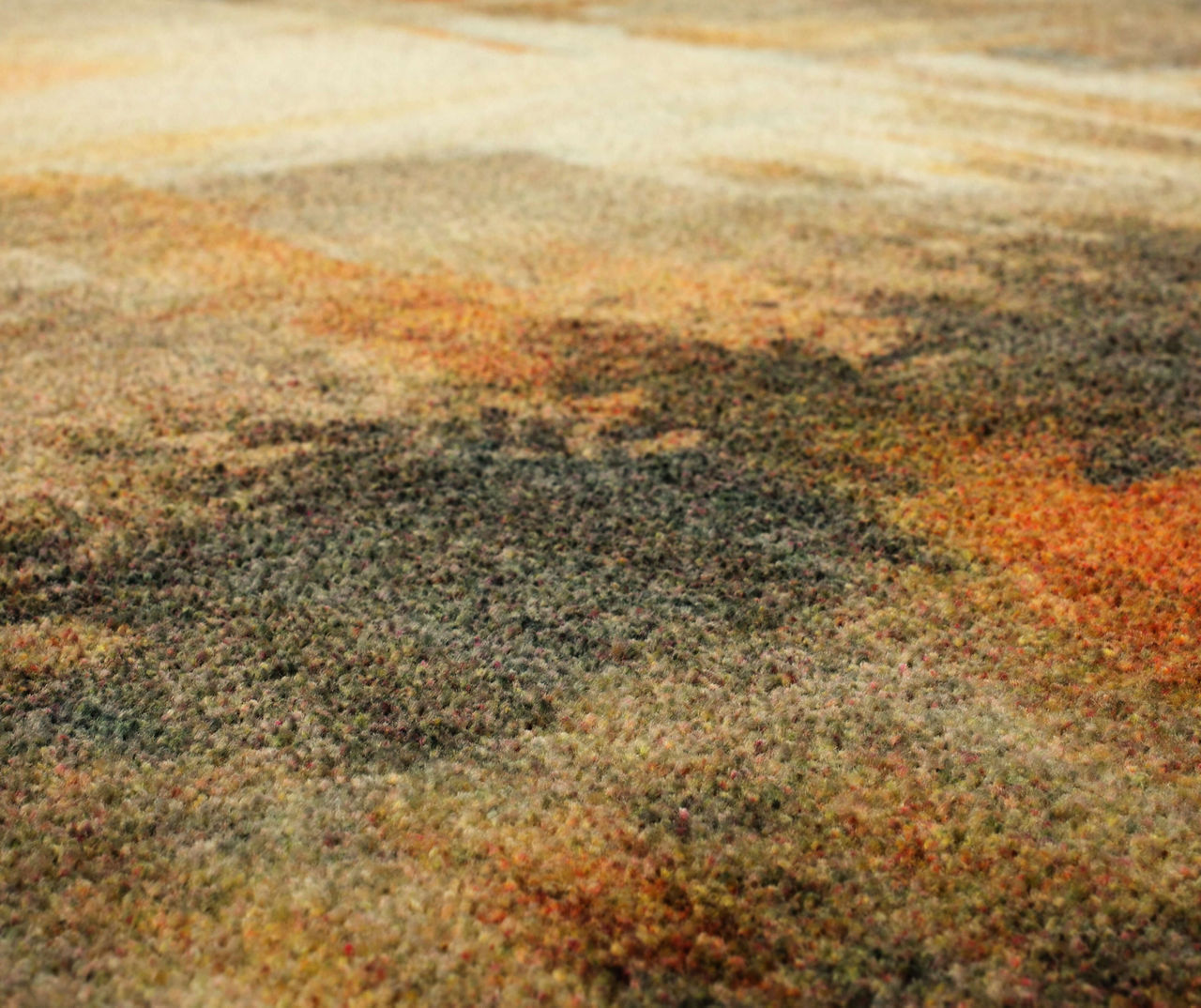 Mohawk Distressed Canvas Beige & Orange Abstract Area Rug, (8' x 10 ...