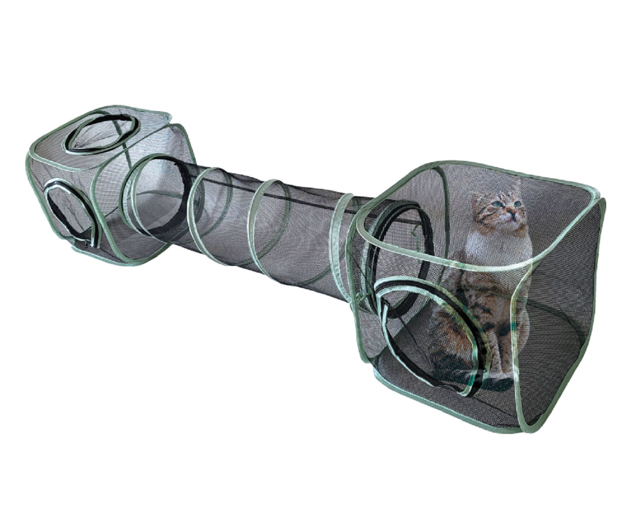 Pop-Up Cat Tunnel & Cubes Play Set | Big Lots