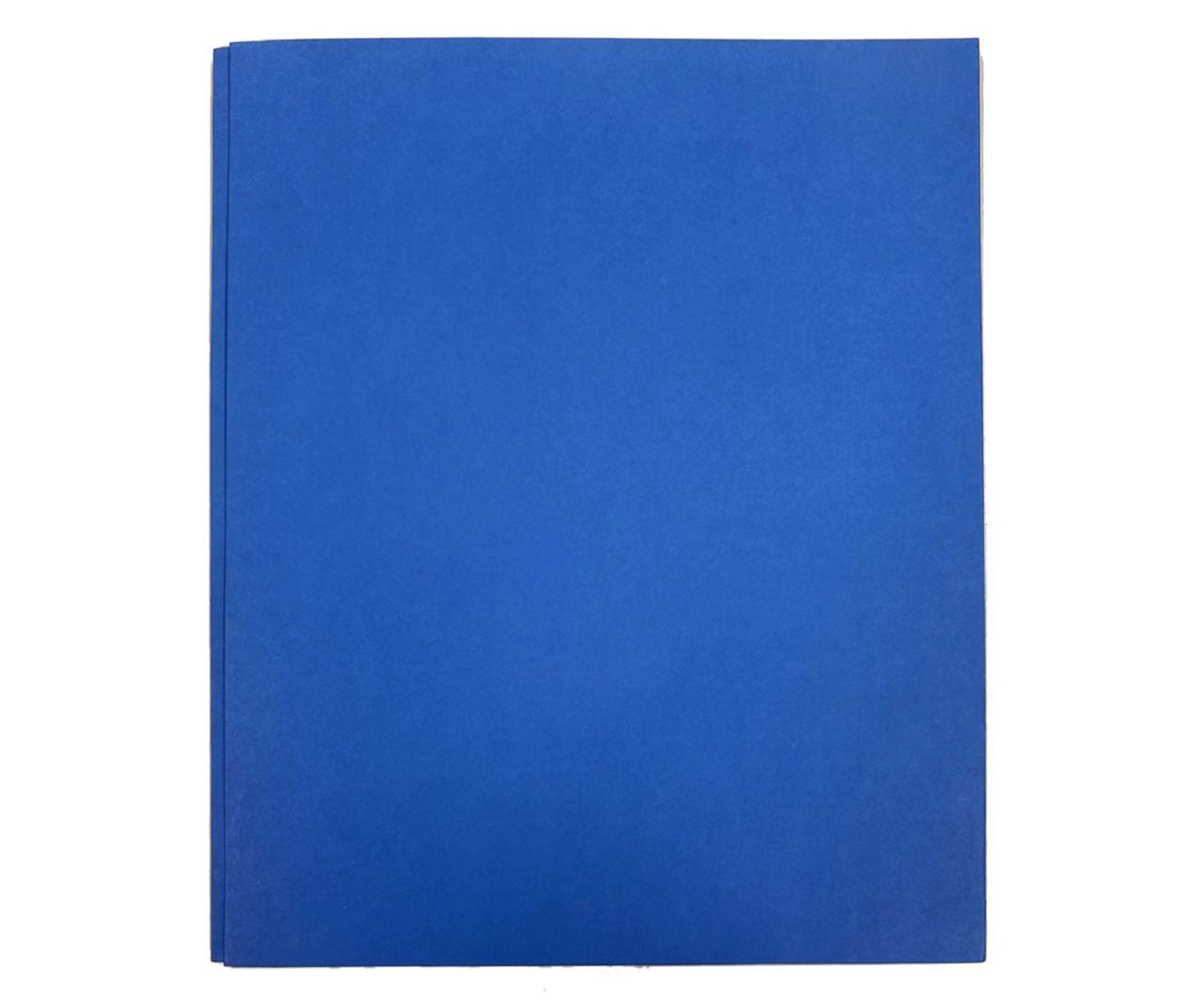 Big Lots Blue 2-Pocket Paper Portfolio With Prongs | Big Lots