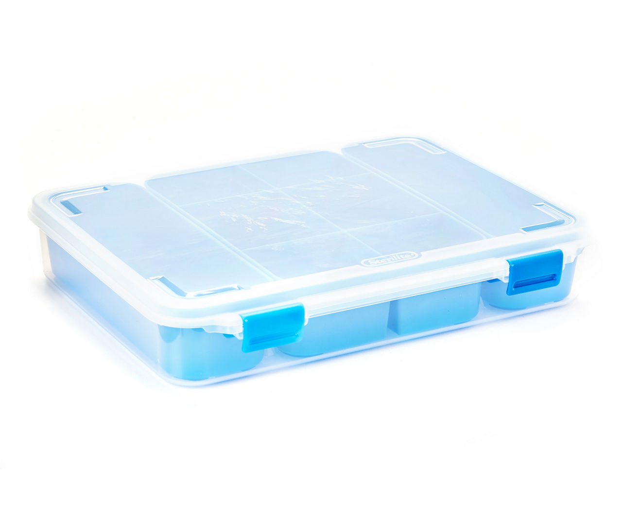 Sterilite Divided Storage Case | Big Lots