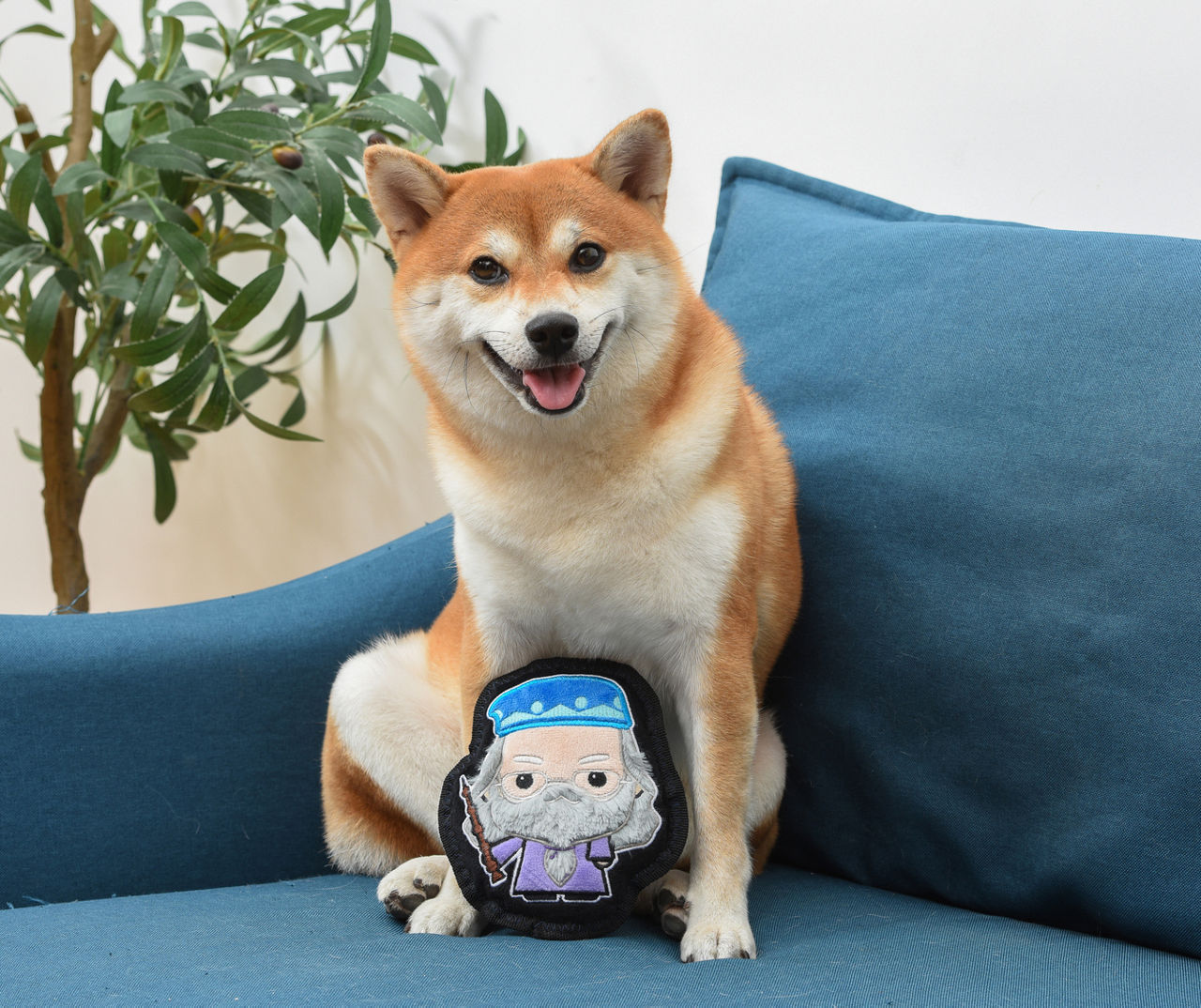 Warner Brothers Harry Potter Dumbledore Plush Crunkle Pet Toy | Big Lots