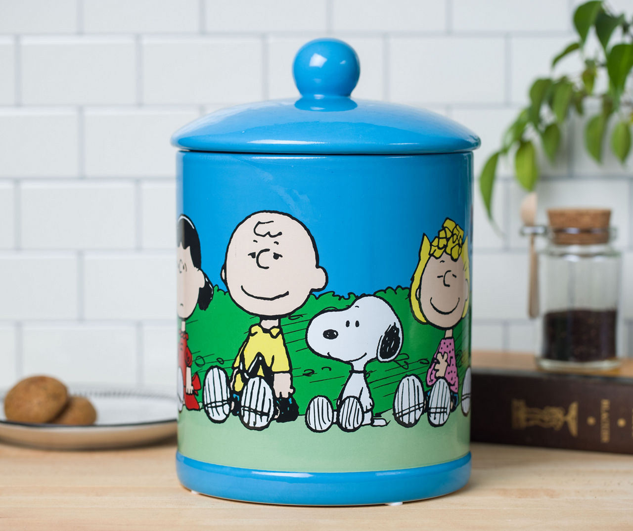 Peanuts Blue Group Ceramic Canister, (10") | Big Lots