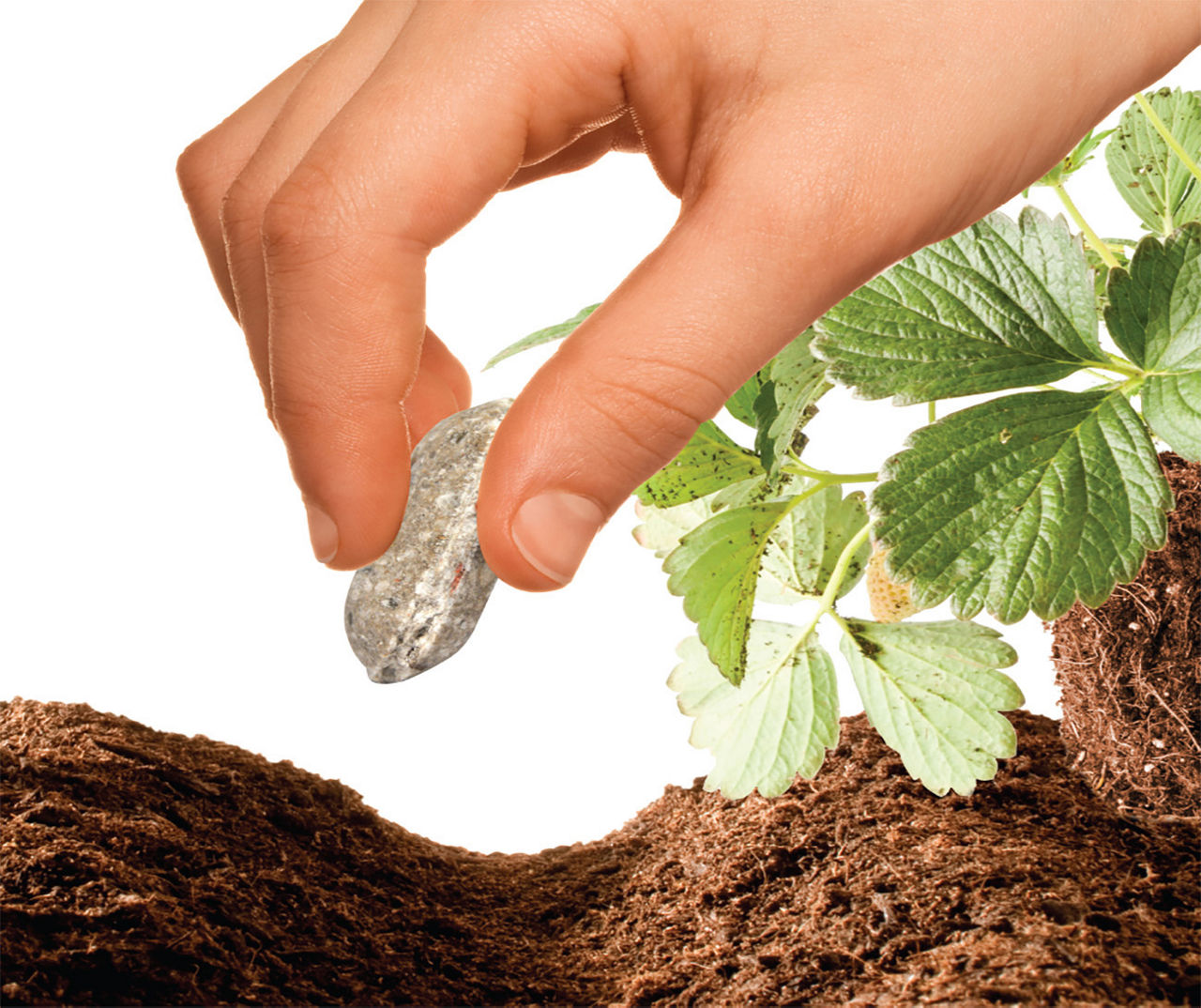 Jobe's Organics Fast Start Planting Tablets, 20-Pack | Big Lots