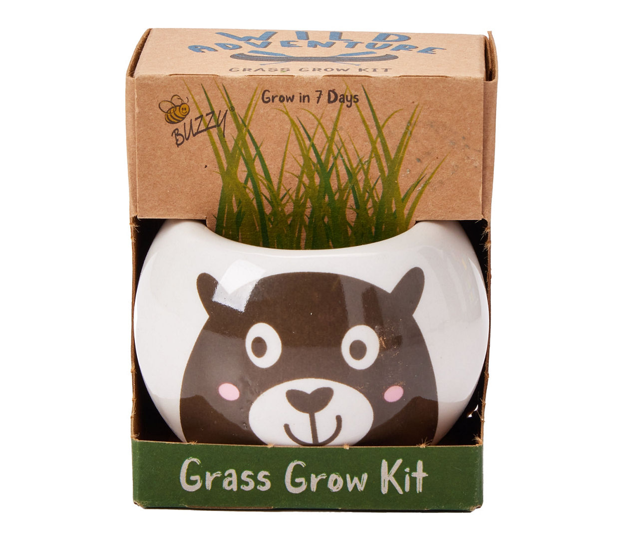 Buzzy Wild Adventures Bear Planter Grass Grow Kit | Big Lots
