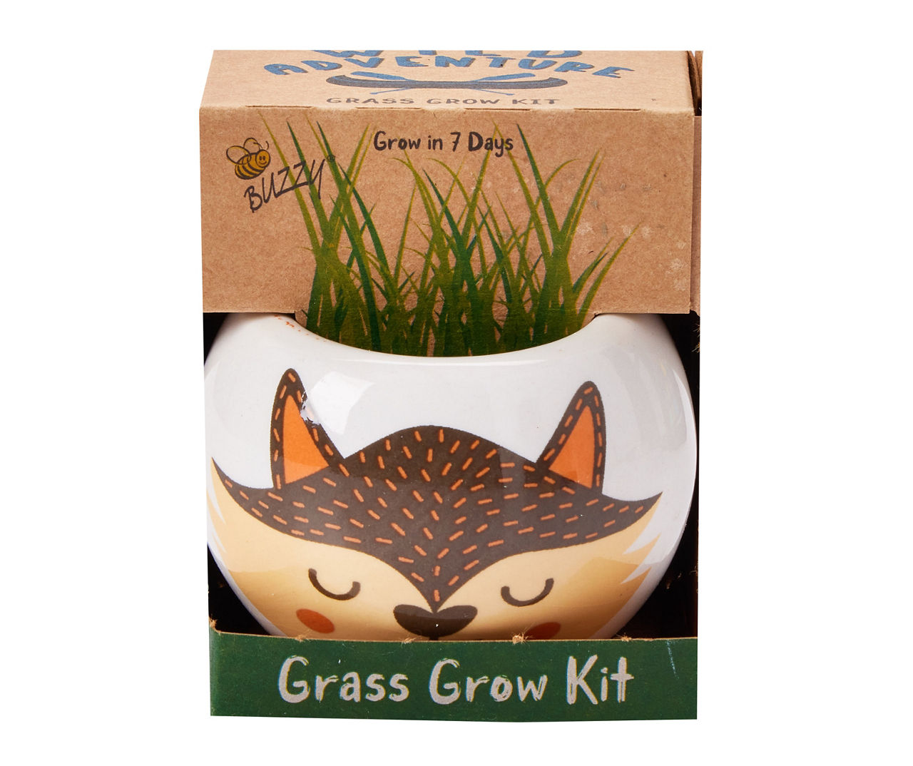 Buzzy Wild Adventures Fox Planter Grass Grow Kit | Big Lots