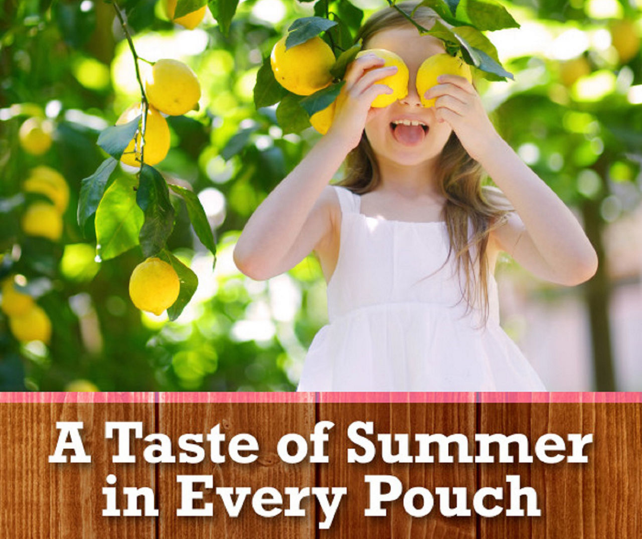 Country Time Strawberry Lemonade Drink Pouches, 10-Count | Big Lots